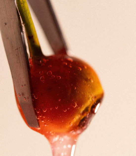 True Calm – epi.logic