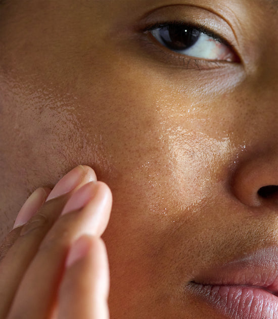 Master Plan – epi.logic