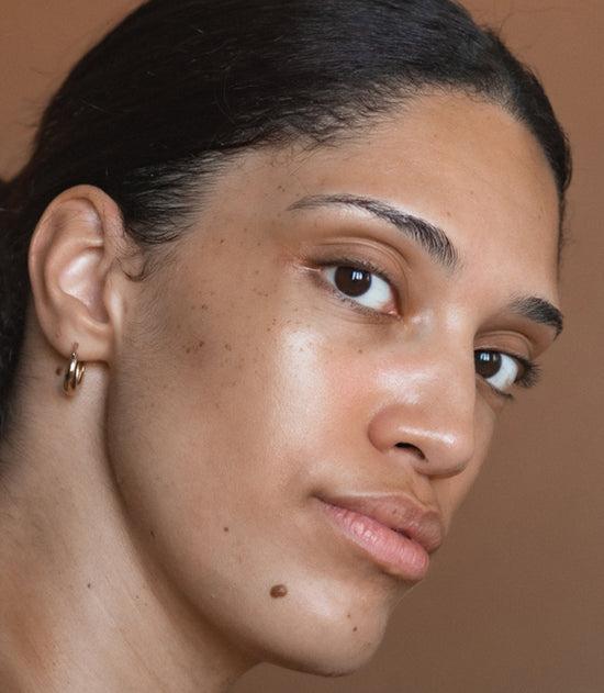 Master Plan – epi.logic