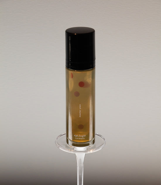 Master Plan – epi.logic